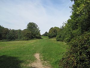 King George's Fields (Monken Hadley) Facts for Kids
