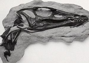 List of dinosaur genera Facts for Kids