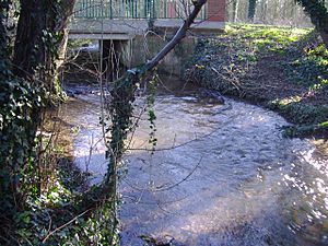 River Babingley Facts for Kids