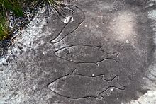 Sydney rock engravings Facts for Kids