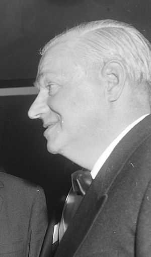 Bertus Aafjes Facts for Kids