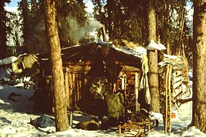 Fur trade Facts for Kids