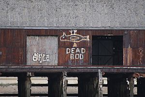 Kingston upon Hull Facts for Kids