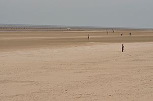 Crosby Beach Facts for Kids