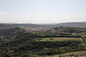 Florinas Facts for Kids