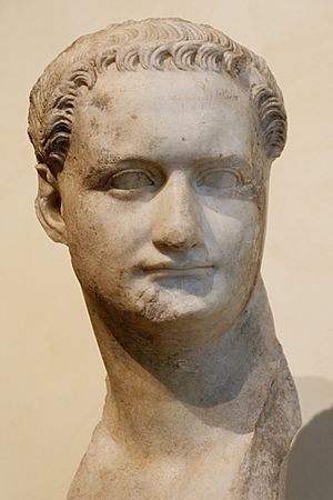 Domitian Facts for Kids