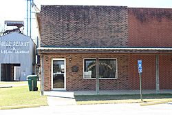 Pinehurst, Georgia Facts for Kids