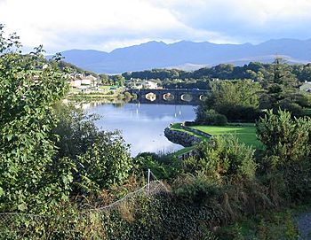 River Laune Facts for Kids