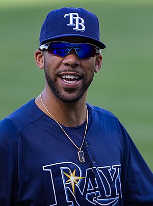 David Price (baseball) Facts for Kids