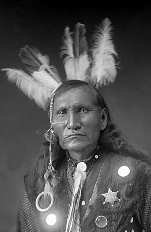 John Sitting Bull Facts for Kids