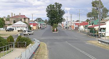 Bundarra, New South Wales Facts for Kids