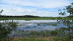 Dead Stream Flooding State Wildlife Management Area Facts for Kids