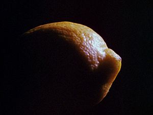 Lemon (1969 film) Facts for Kids