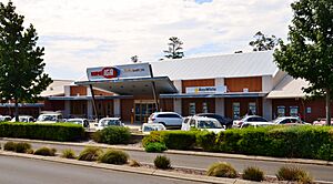 IGA Supermarkets Facts for Kids