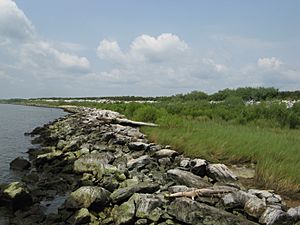 Gaillard Island Facts for Kids