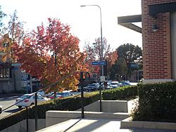 Atwater Village, Los Angeles Facts for Kids