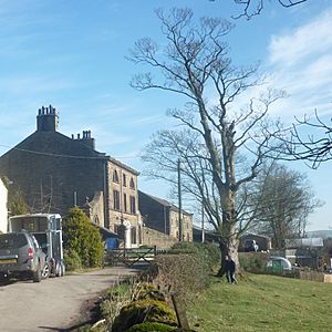 Elizabeth Shackleton Facts for Kids