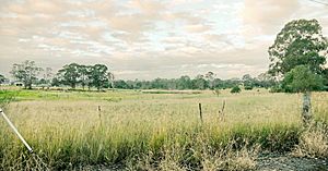 Savanna Facts for Kids