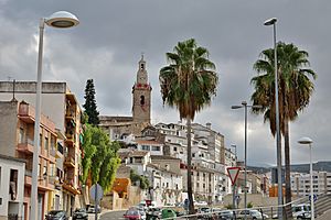 Albaida Facts for Kids