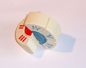 Puck puzzle Facts for Kids