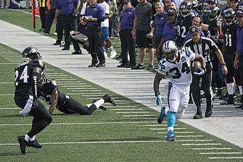 DeAngelo Williams Facts for Kids