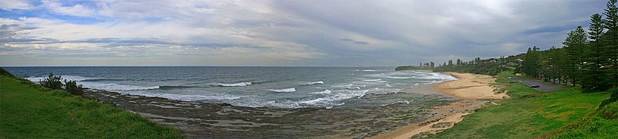 Coledale, New South Wales Facts for Kids