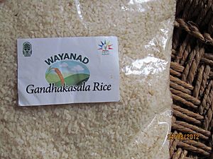 Wayanad Gandhakasala rice Facts for Kids