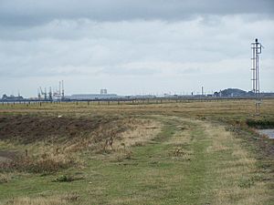 Medway Estuary and Marshes Facts for Kids