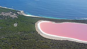 Lake Hillier Facts for Kids