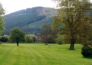 Kilbroney Park Facts for Kids