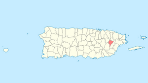 Juncos, Puerto Rico Facts for Kids