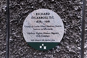 Richard O'Carroll Facts for Kids