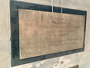 William Hunter (anatomist) Facts for Kids