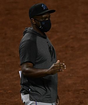 James Rowson Facts for Kids