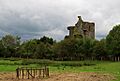 Richard Óg de Burgh, 2nd Earl of Ulster Facts for Kids