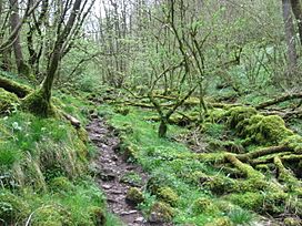 Monk's Dale Facts for Kids