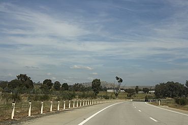 Mullengandra, New South Wales Facts for Kids