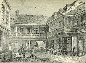 Affabel Partridge Facts for Kids