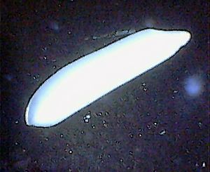 Patna rice Facts for Kids