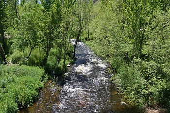 Adaja Facts for Kids