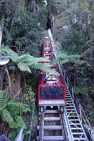 Scenic World Facts for Kids
