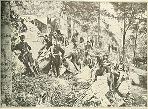 James S. Negley Facts for Kids