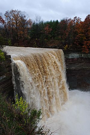 Ball's Falls, Ontario Facts for Kids