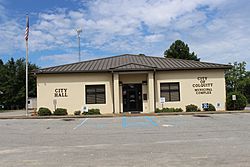 Colquitt, Georgia Facts for Kids