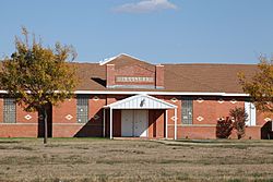 Cone, Texas Facts for Kids