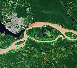 Manaus Facts for Kids