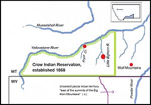 Crow scouts Facts for Kids