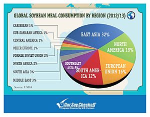 Soybean meal Facts for Kids