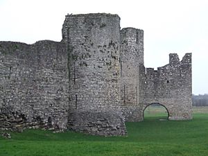 Trim Castle Facts for Kids