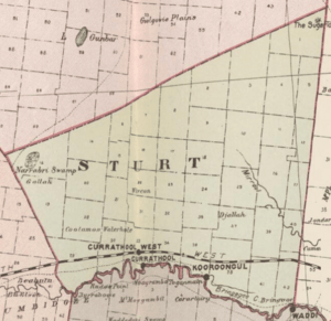 Sturt County Facts for Kids